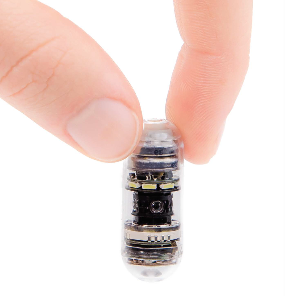 Alicam Veterinary Capsule Endoscopy, from Infiniti Medical, now ...